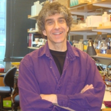 Rich Binari, Ph.D. | Laboratory of Norbert Perrimon, Ph.D.